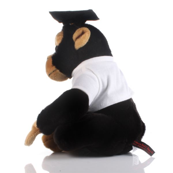 Graduation Message Monkey | The Gift Experience