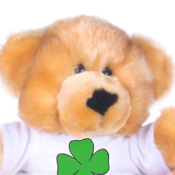 Personalised Good Luck Teddy Bear | The Gift Experience