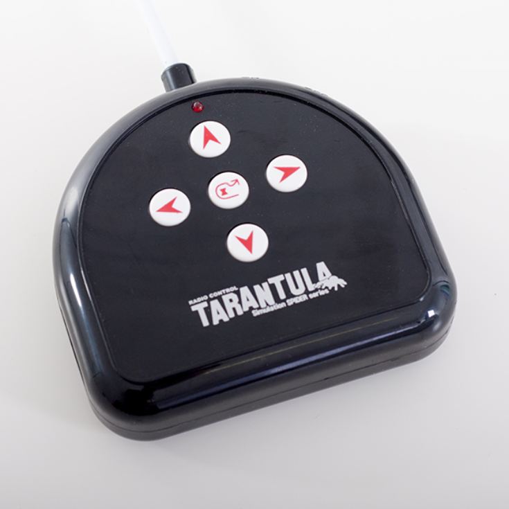 Remote Control Tarantula | The Gift Experience