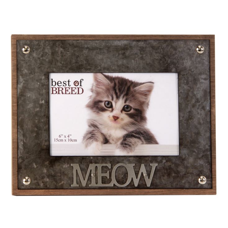 6" x 4" - Best of Breed Photo Frame - Meow | The Gift Experience