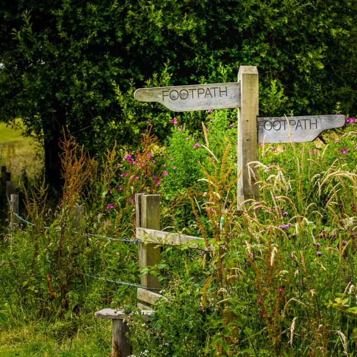 Relaxing Break in the Country