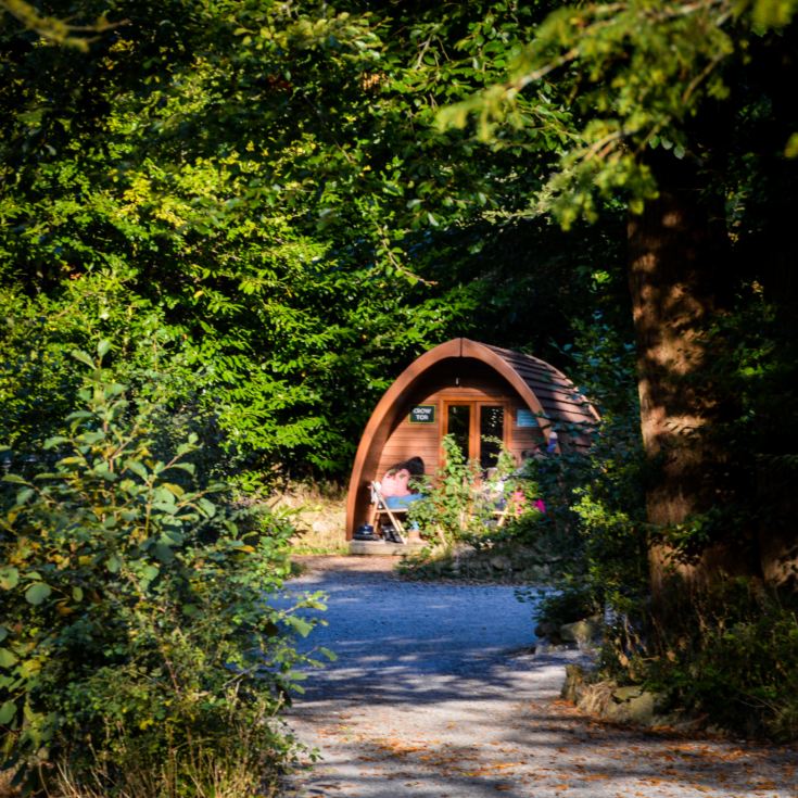 Relaxing Break in the Country