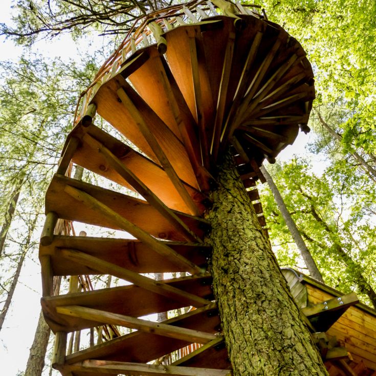 Two Night Tree House Escape for Two