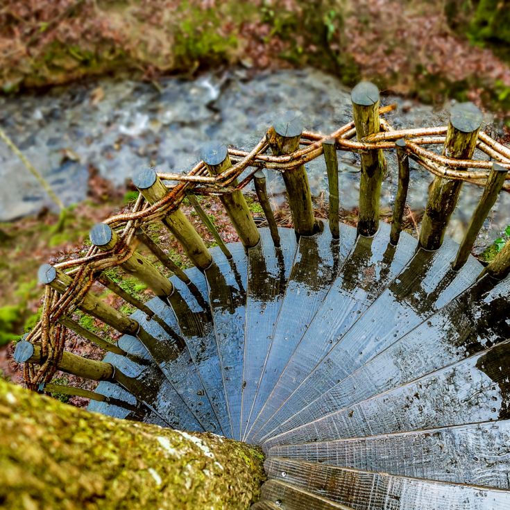 Two Night Family Tree House Escape