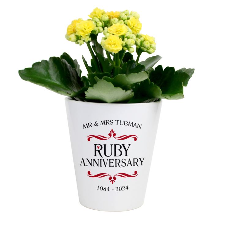 Personalised Ruby Wedding Anniversary Plant Pot | The Gift Experience