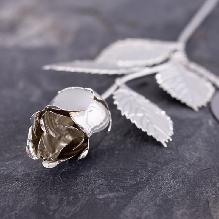 Personalised Silver Plated Rose | The Gift Experience