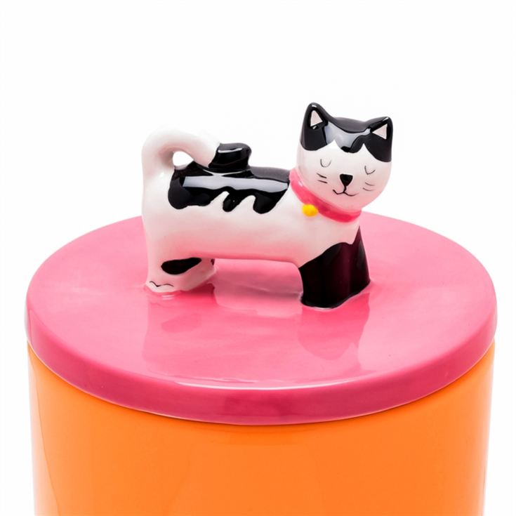 Raspberry Blossom Cat Treat Jar | The Gift Experience