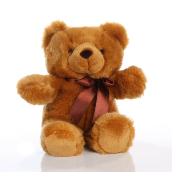 LO's first teddy — The Bump